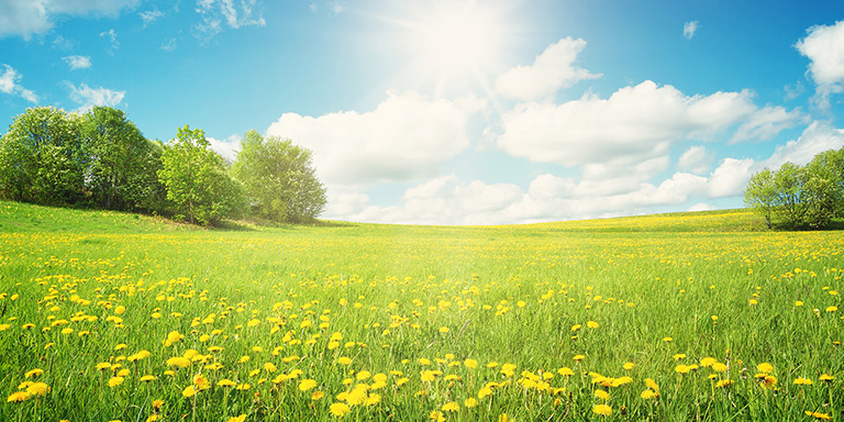 Essential Oils Pure and Natural | dōTERRA Essential Oils